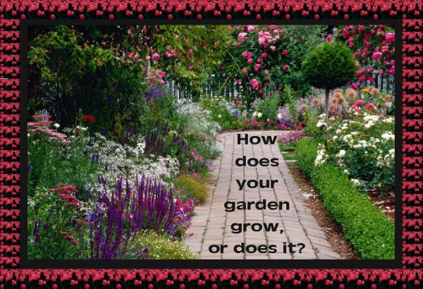 How Does Your Garden Grow? - Imperfect Homemaker